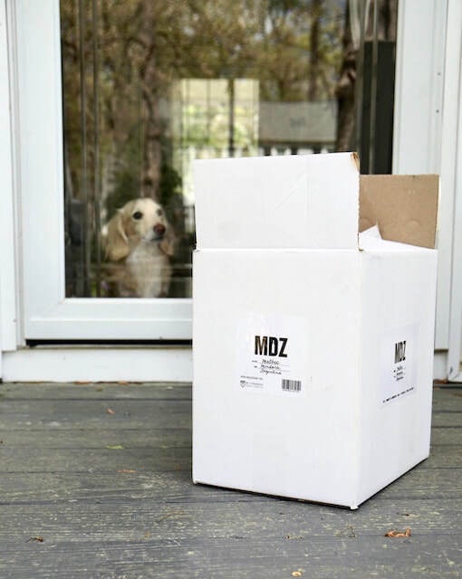 Top Shelf Case | Barrel Thief Wine & Provisions